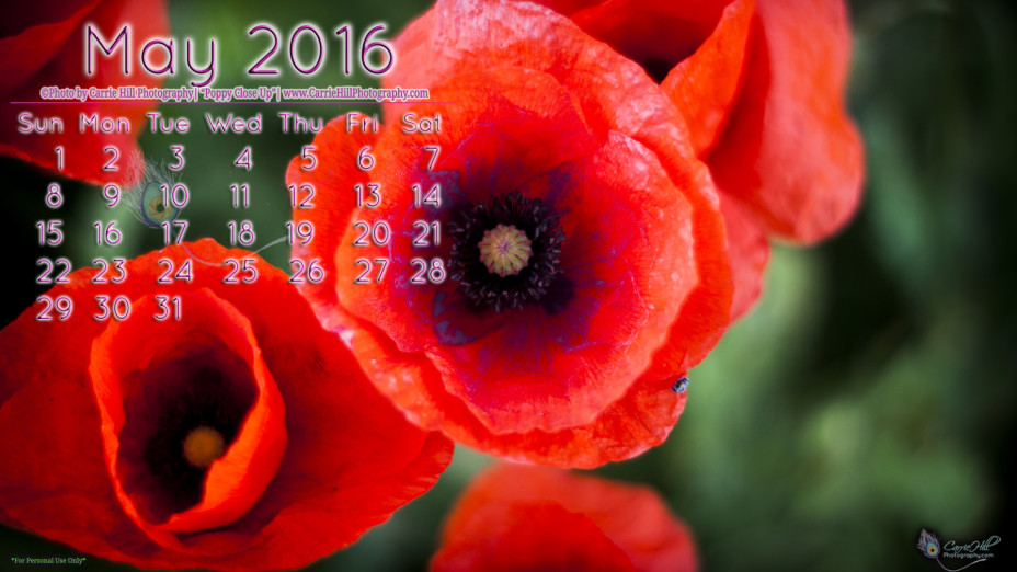 Free downloadable May 2016 Desktop Wallpaper Calendar